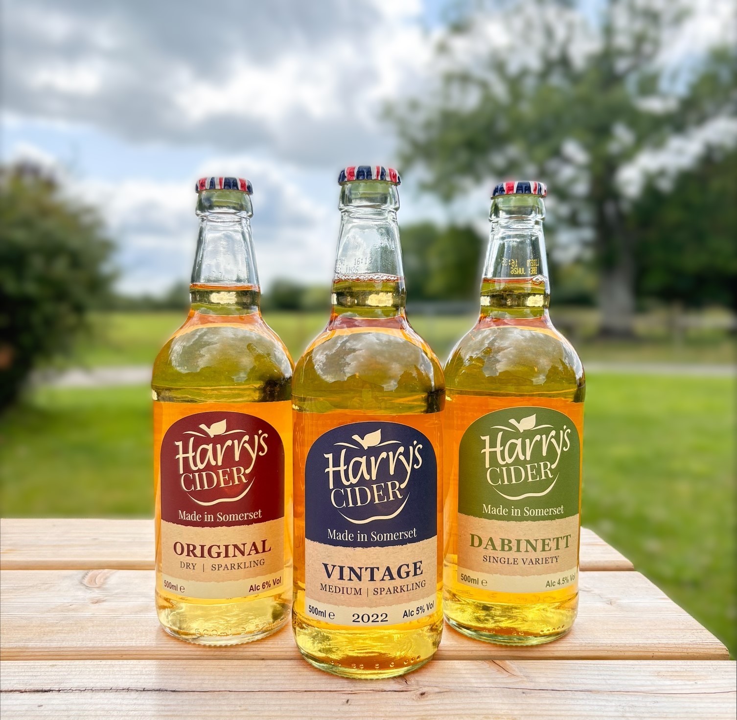 Bottled Cider - Sparkling and Fruit Range