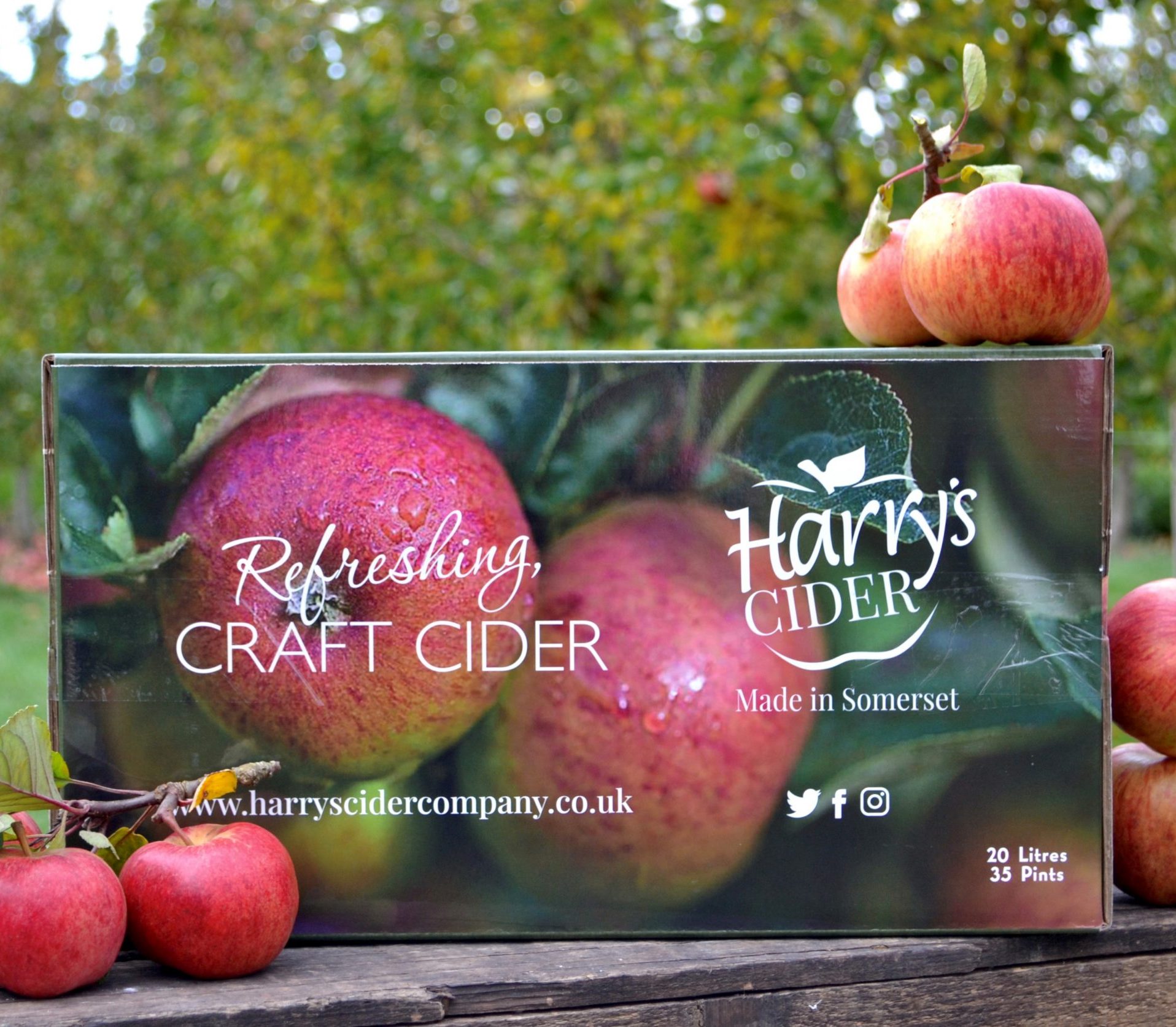 Harry's Draught Cider - Bag in Box - Traditional Farmhouse and Fruit